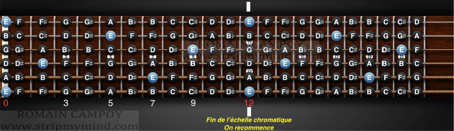 LES NOTES SUR LE MANCHE DE LA GUITARE | Romain Campoy
